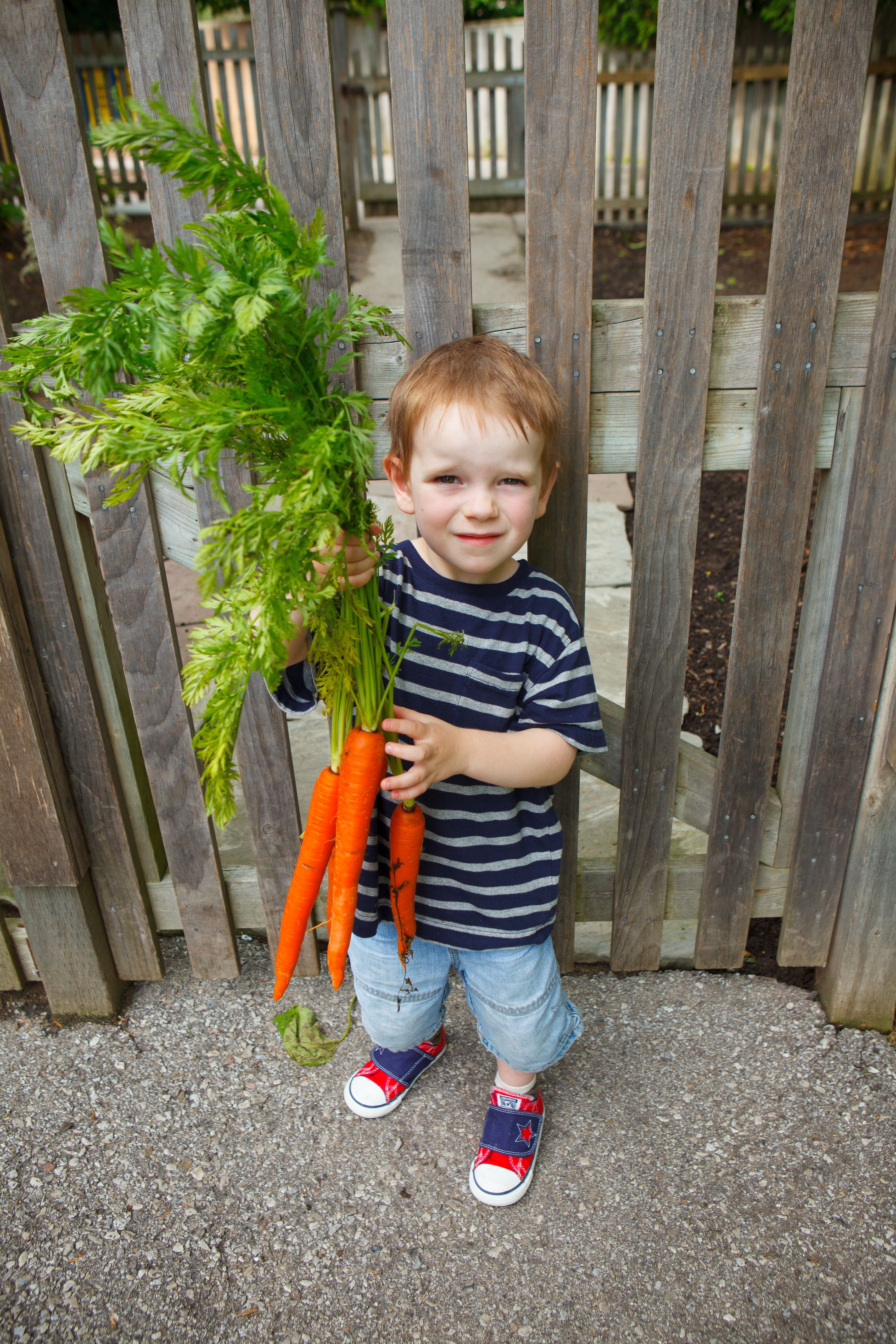 Health & Nutrition - Tanglewood School